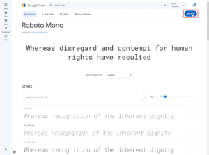 How to use Google Fonts in Flutter - OnlyFlutter